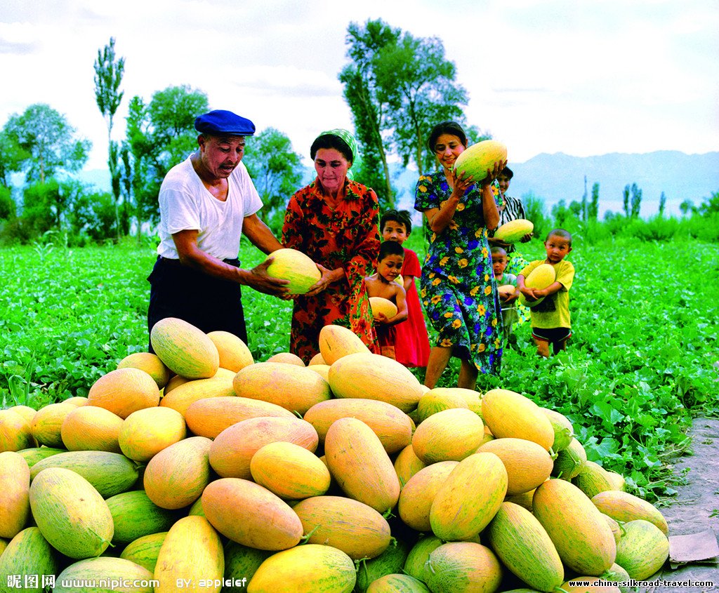 Xinjiang Fruits-China Silk Road Travel Xinjiang Fruits-China Silk Road Travel