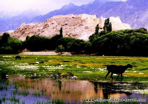 Silk Road and Northern Xinjiang Tour-China Silk Road Travel-China Silk ...