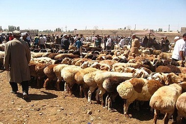 11 Days Silk Road Luxurious Travel-China Silk Road Travel